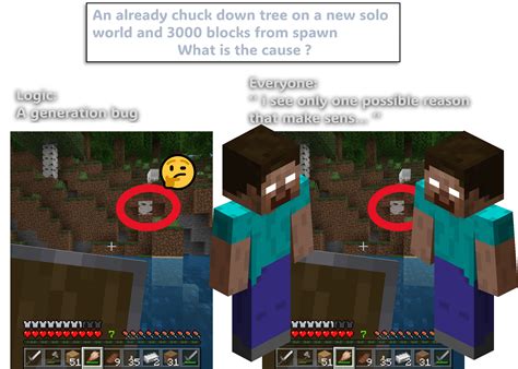 generation bug herobrine r minecraftmemes