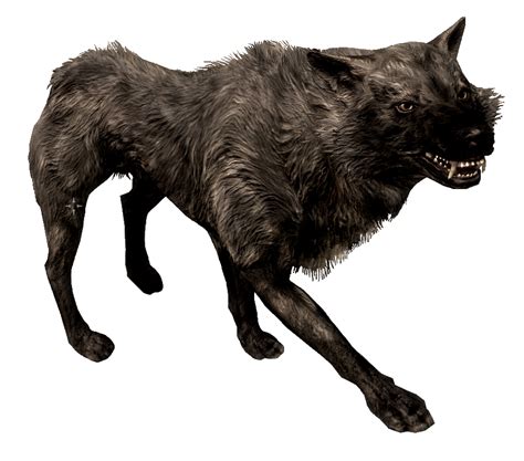 Skyrim Wolfpit Wolf Render By Mamlukzilla On Deviantart