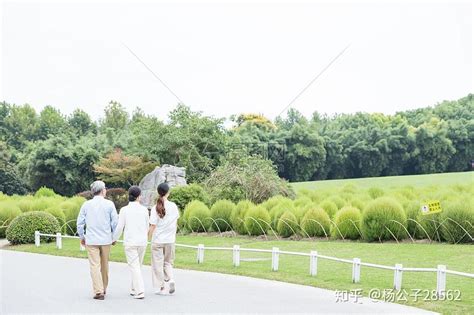 人为什么要直立行走？