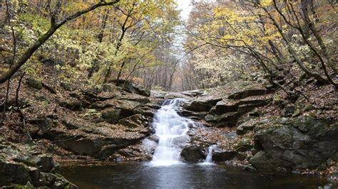 소금강산 중무계곡3 무명폭포 단풍 [ 계곡물멍 유철민변호사의 힐링] Sound Of Waterfall Youtube