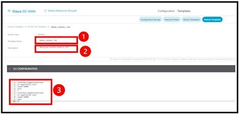 Cisco Sdwan C8000v Router Interface From 1g To 10g The Network Dna