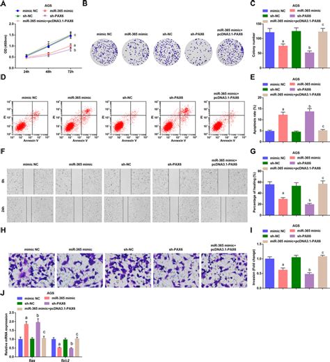 Elevated Mir 365 Or Reduced Pax6 Inhibits Aggressive Behaviors Of Ags