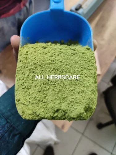Private Label Wheatgrass Powder Packaging Size 100 Gm At ₹ 375kg In