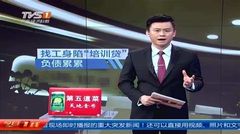 一线调查“培训贷”陷阱套路深——找工身陷“培训贷”无端背债数万高清1080p在线观看平台腾讯视频