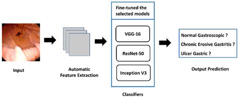 Figure 1 From A Deep Learning Based Framework For The Classification Of Multi Class Capsule