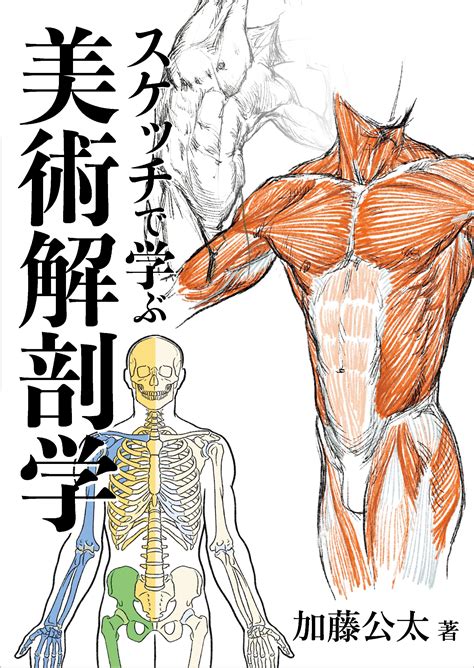 人気の製品 解剖学 tresor gov bf