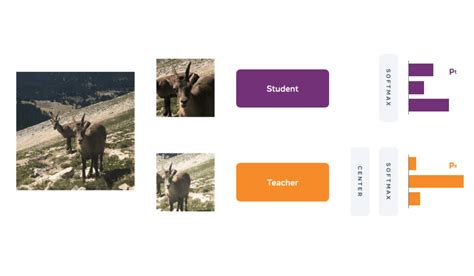 Paper Explained DINO Emerging Properties In Self Supervised Vision Transformers Towards