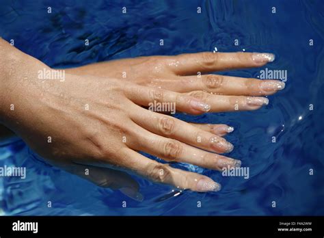 Beautiful Female Hands Stock Photo Alamy
