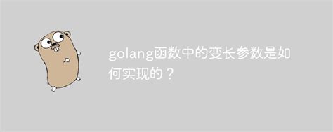 Golang函數中的變長參數是如何實現的？ Golang Php中文網