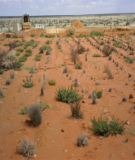Radioactive Waste Disposal Compliance National Radioactive Waste