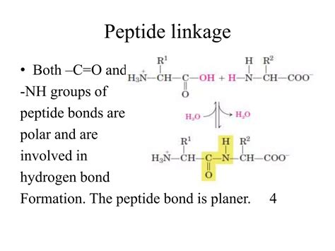 Le 17 Peptide Linkage And Chemicalpptx Chemistry Science