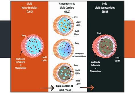脂质纳米颗粒和脂质体Lipid Nanoparticles and Liposomes 实现临床突破LNP Sam Note