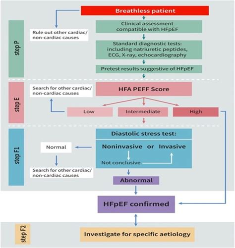 Διαγνωστικός αλγόριθμος Hfa Peff για την Καρδιακή Ανεπάρκεια με