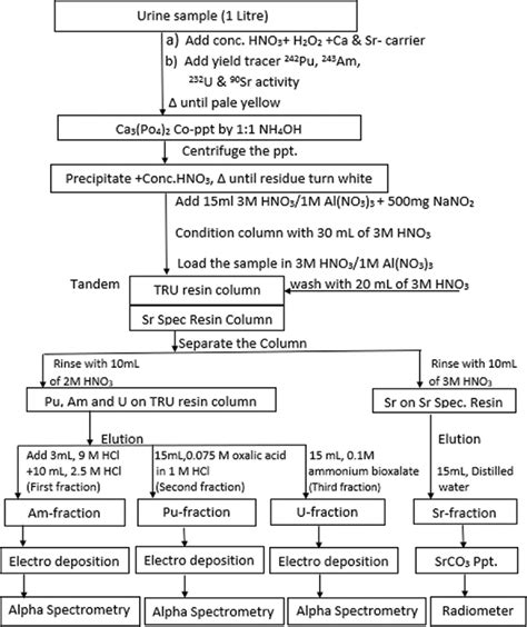 Sequential Separation Of Actinides And Strontium In Urine Sa Radiation Protection And