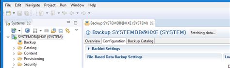How To Restore Sap Hana Database From Clone Dell Pakistan