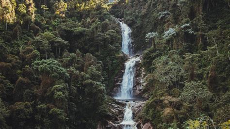 🦧 The J Code Jungle Financial Jeopardy And Opportunity For Savings