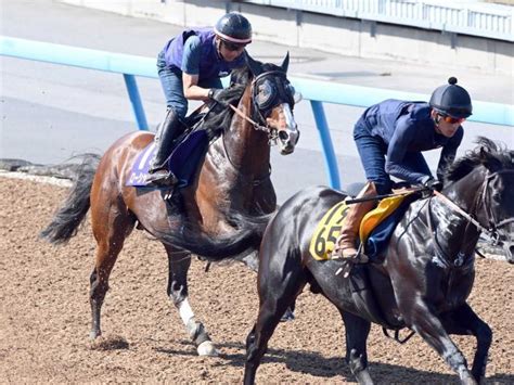 【宝塚記念】ローシャムパーク Vへ追い風 田中博師「いいフォームになってきた」 競馬ニュース Netkeiba