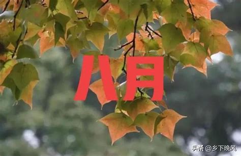 天气预报，明日17号新一轮冷空气降雨来袭，大雨暴雨分布下列地区 伊人小筑