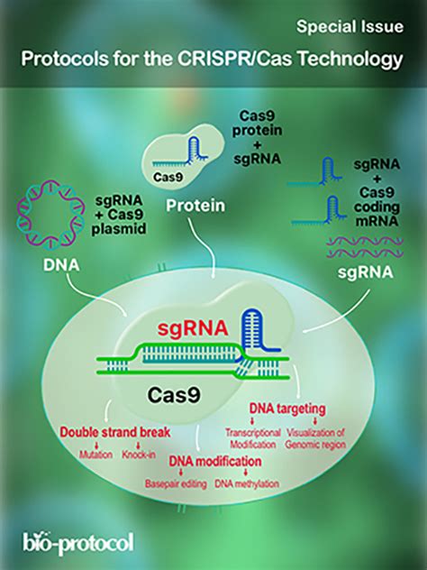 Protocols For The CRISPR Cas Technology Bio Protocol
