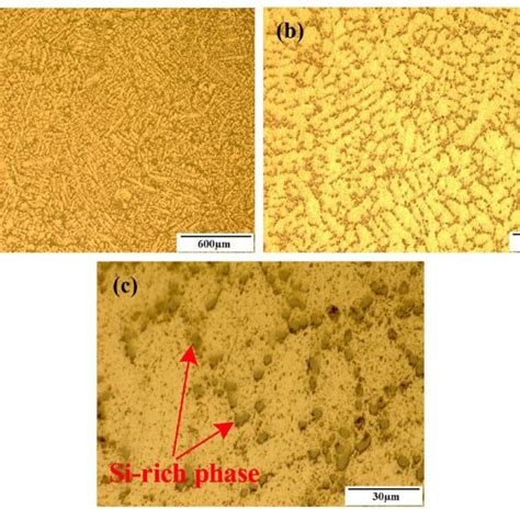 Optical Micrographs Of Sample No 1 A 50x B 200x And C 1000x