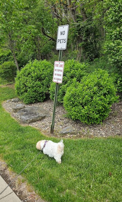 Reset Ycql Password As A Non Authenticated User Yugabytedb Tips