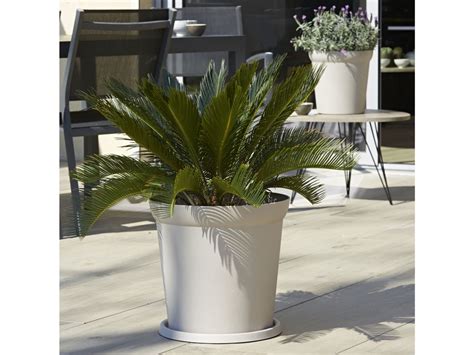 Pot Edge Silence ça Pousse