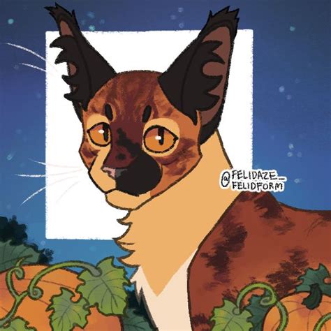 Felidaze S Cool Cat CreatorPicrew Cat Creator Warrior Cat Creator