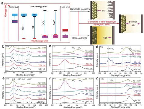 Simultaneous Suppression Of The Dendrite Formation And Shuttle Effect In A Lithiumsulfur