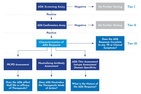 Large Molecule Bioanalysis • Wuxi Apptec Lab Testing Division