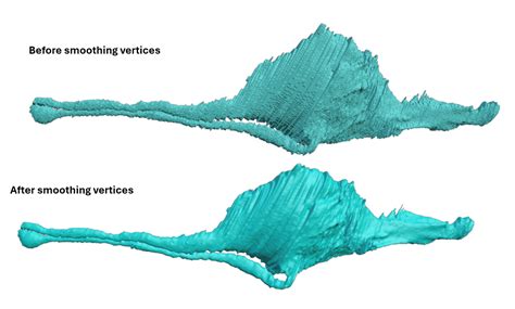 Smooth Smoothing 3d Models Of Biological Structures Blender Stack