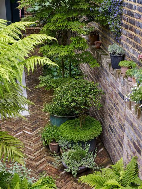 Small City Garden Small Courtyard Gardens Small Space Gardening