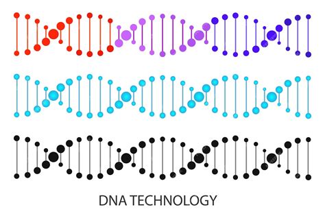 Premium Vector Dna Vector Illustration Model Of The Molecular Structure Of Dna Strands Double