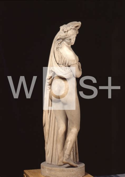 美しい尻のヴィーナス 古代美術 wps ワールドフォトサービス