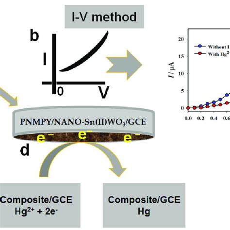 Scheme 1 Schematic Representation Of Mercury Detection With