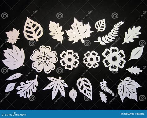 White Leaves Anf Flowers Paper Cutting Stock Image Image Of Cutting