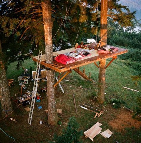 Step By Step Construction Of A Treehouse Photos Image 11 ABC News