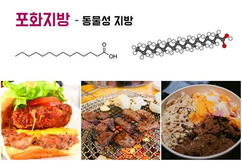 달콤한 음식 속 못된 악마 트랜스 지방
