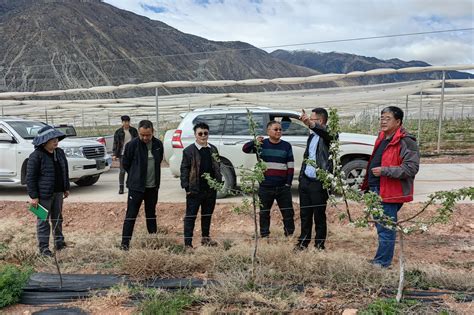 西藏农牧学院乡村振兴研究院科技服务昌都市林果产业 助力乡村产业振兴 西藏农牧学院新闻网