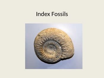 Introduction To Index Fossils Powerpoint By Rich Fried TPT