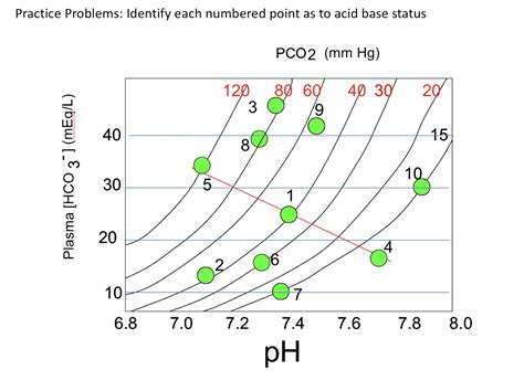 Tutors Notes General Cardiovascular Respiratory And Renal