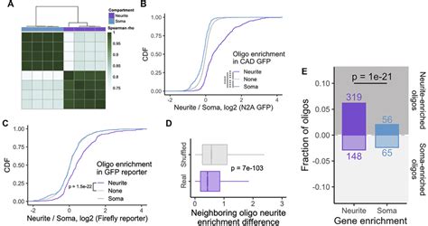overview and qc of mpra results a hierarchical clustering of