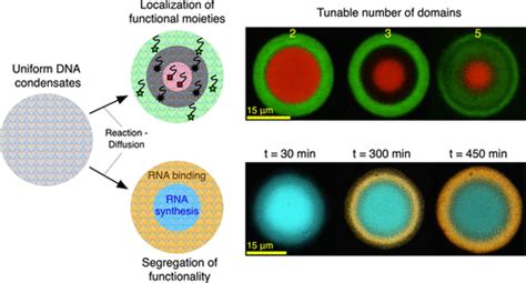 Hierarchical Diffusion Map
