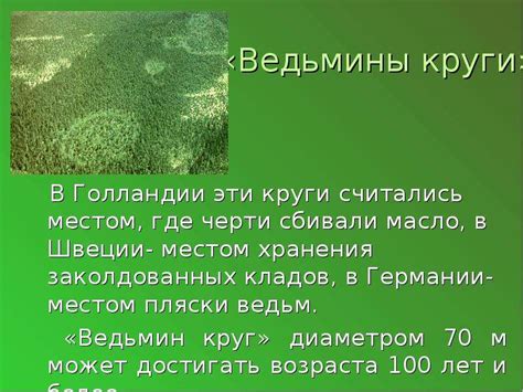 Презентация на тему Шляпочные грибы 5 класс скачать презентации по
