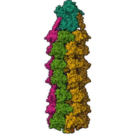 Rcsb Pdb 9n8w Intermembrane Lipid Transport Complex Letab From Escherichia Coli Crosslinked