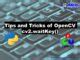 Tips And Tricks Of OpenCV Cv WaitKey Tutorial With Examples MLK Machine Learning Knowledge