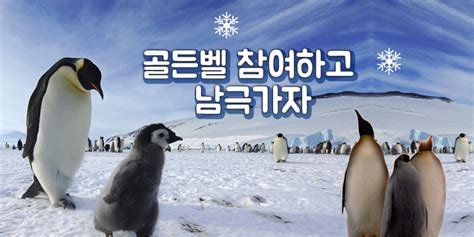 부산 청소년 남극 체험 탐험대원 선발