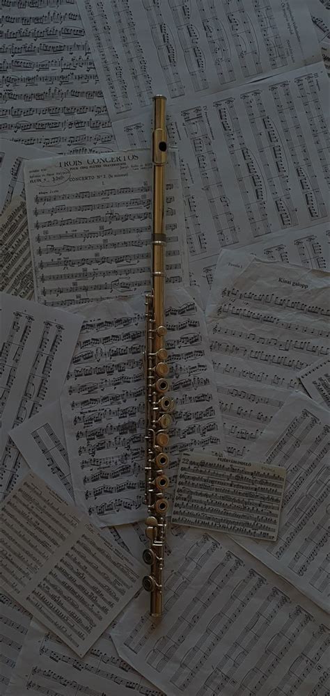 Flute Aesthetic In 2024 Flute Sheet Music Flute Flute Music