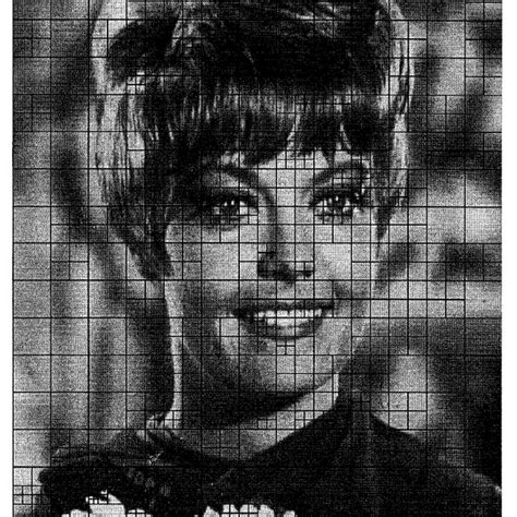 Final Partition Of Image Zelda Resulted Using The Adaptive Size