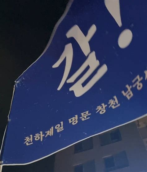 윤석열 탄핵 시위 깃발 천하제일 명문 창천 갈 갈 민주주의 깃발시위 센스 세모짤