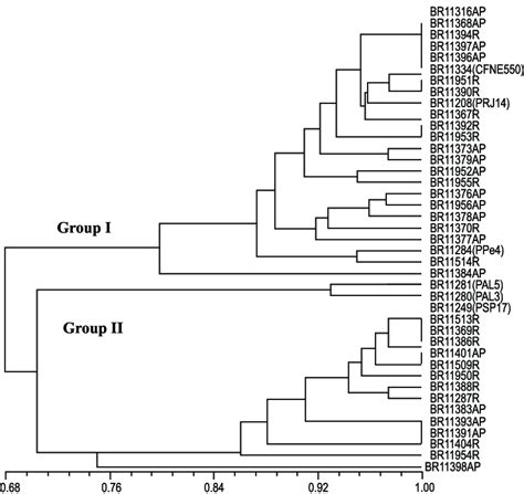 consensus dendrogram obtained by combining the data of utilization of